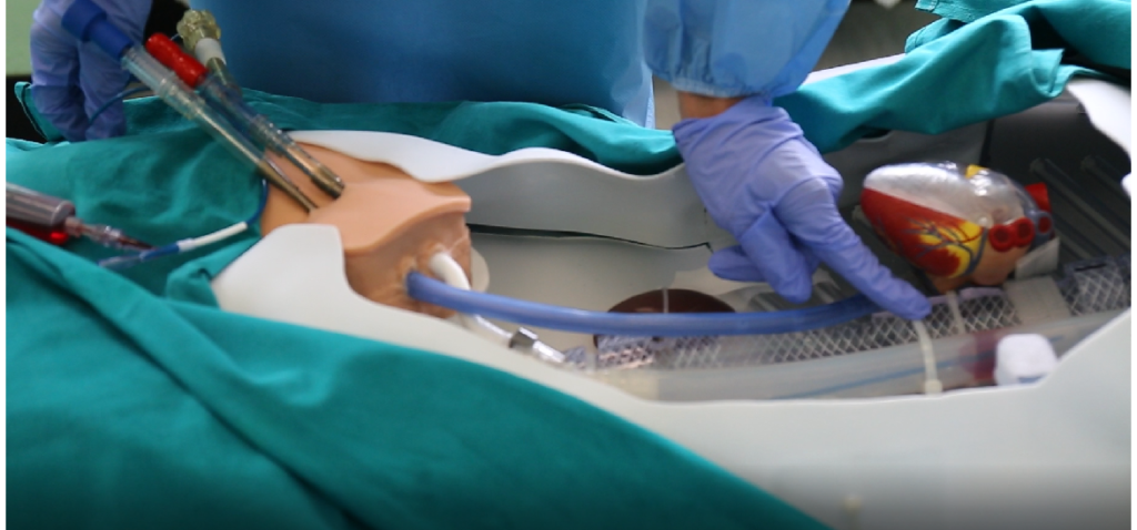 PERFUSIONSIM™ – Task Trainer for NRP and REBOA (PFS) – Accurate